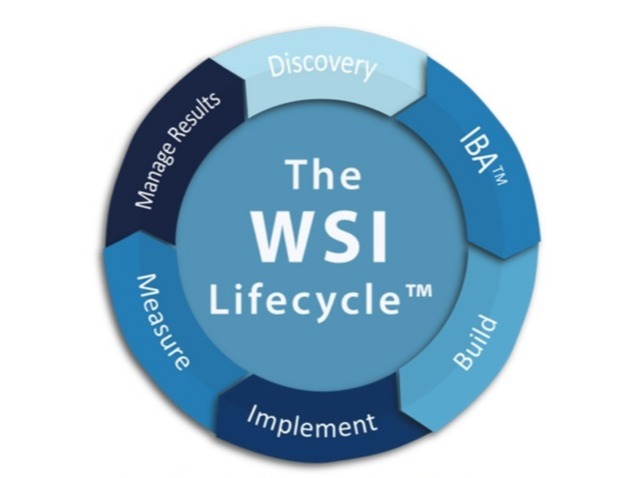 How The WSI Lifecycle Helps Your Business